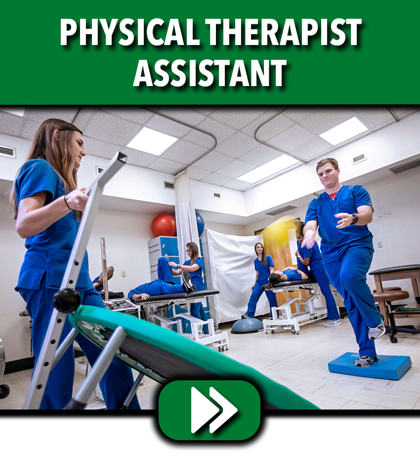 Division of Health Education